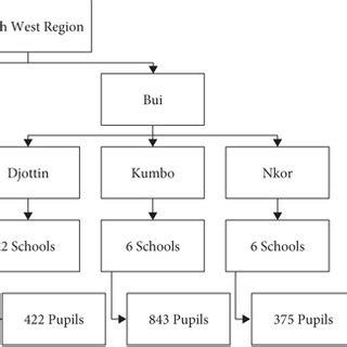 Multistage Sampling Of Pupils CS Convenience Sampling SRS Simple Download Scientific