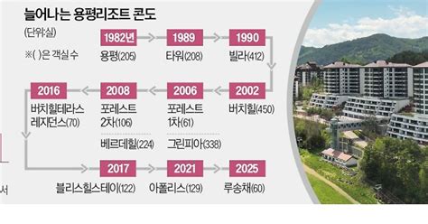 용평리조트 스키장 주위에 콘도 무한확장