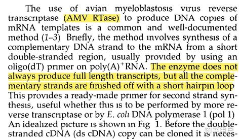 为什么cdna自身引导法合成的cdna3可以形成发卡结构？ 知乎