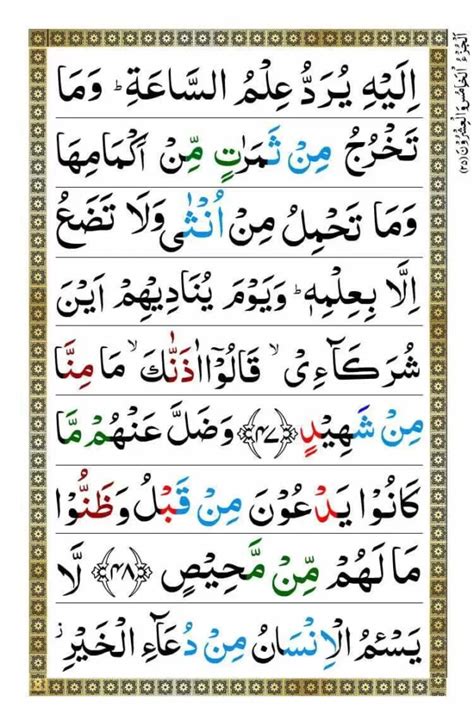 Quran Colour Coded Hot Sex Picture