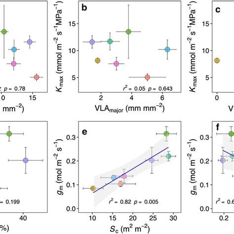 Impacts Of Leaf Anatomical Traits On Mesophyll Conductance Gm And