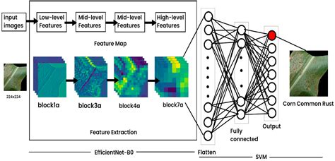 Optimized Crop Disease Identification In Bangladesh A Deep Learning