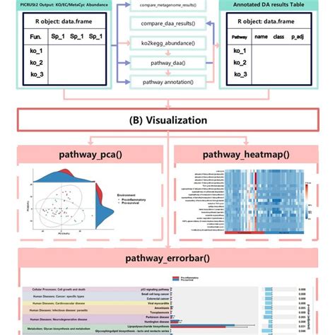 Workflow And Visualization Example For The Ggpicrust2 R Package The Download Scientific