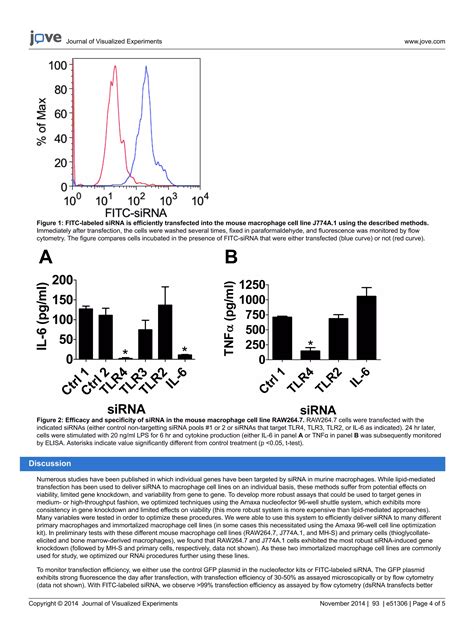 Jove Protocol 51306 Using Rna Interference To Investigate Innate Immune Response Mouse Pdf