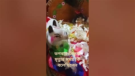 ভগবান শ্রীকৃষ্ণ মৃত্যুর সময় কি বলেছিল 🌹🌹🌹 Youtube
