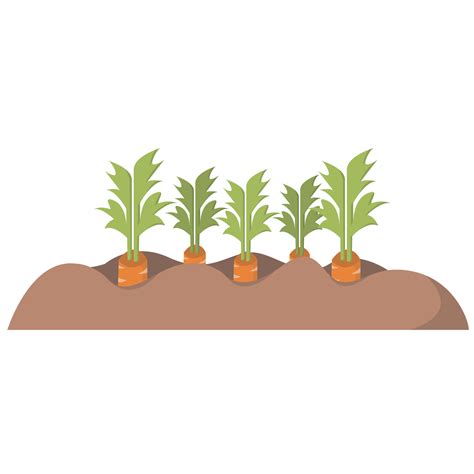 Carrot Plant Gardening Png Illustration 23271236 Png