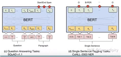 预训练语言模型 3 Bert Bert Ensemble Csdn博客