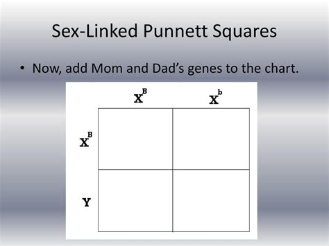 Biology Genetics Unit Ppt Download