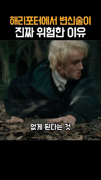 해리포터에서 변신술이 진짜 위험한 이유 Youtube