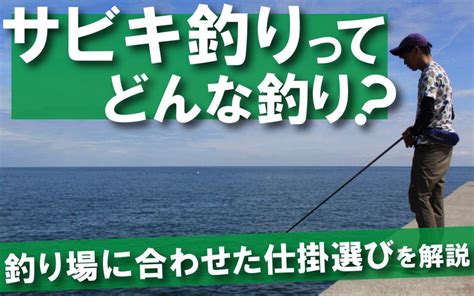 【超入門】「サビキ釣り」ってどんな釣り？釣り方色々！釣り場に合わせたサビキ仕掛の選び方を解説！ 仕掛大全