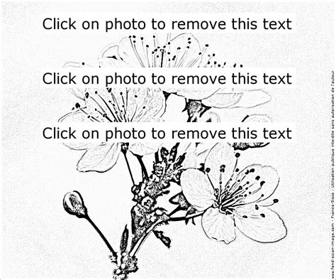 16 Unique Coloriage Cerisier Collection COLORIAGE