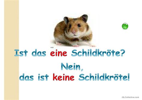Ein Oder Kein Mit Farbcode Deutsch DAF Powerpoints