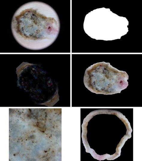 Preprocessed Input Images For The Classifiers The Images From Left To