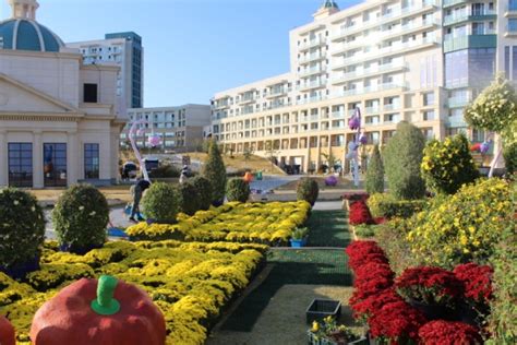 2021 진도사랑 국화작품 전시회 예향진도신문