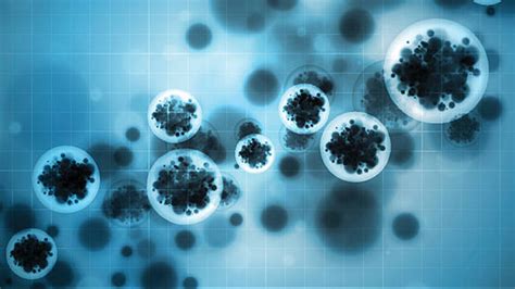 New Combination Drug To Offer Affordable Treatment For Latent Tb