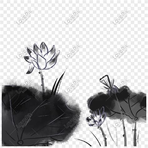 Water Ink Chinese Lotus Leaf Lotus Seed Ink Vector Chinese Drawing