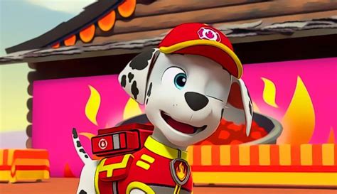 Paw Patrol Photomania Edits Paw Patrol Fan Art 40265548 Fanpop
