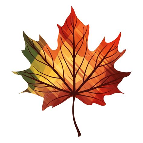 Maple Leaf Template