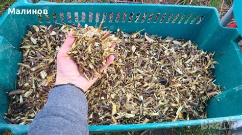 Мулч за орхидеи или гъби разпалки за скара застилане наторяване в Тор и почвени смеси в гр