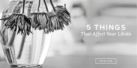 5 Things That Affect Your Libido Imom
