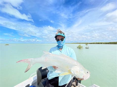 Scotts Species Threadfin Salmon A Fantastic Looking And Tough