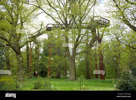 The Treetop Walkway At Kew Gardens Seen Through Early Spring Foliage At