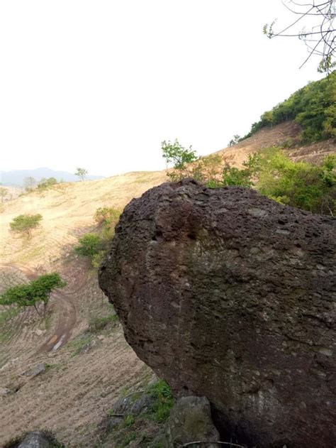 秘境之一春山夕陽挖竹筍 每日頭條