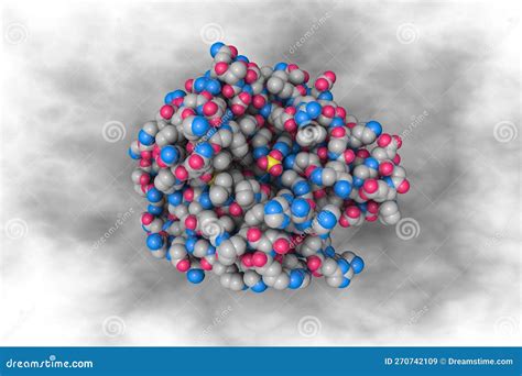 Human Carbonic Anhydrase Ii In Complex With Bicarbonate Space Filling