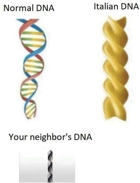 Three Different Types Of Spirals With The Words Normal And Italian