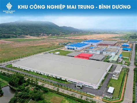 Khu Công Nghiệp Kcn Mai Trung Bình Dương Blue Ocean Realty
