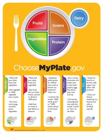 Myplate Yahoo Image Search Results Nutrition Wellness Nutrition