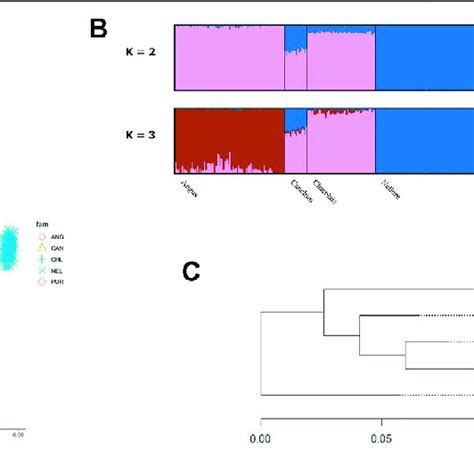 Population Stratification Of The Purunã Breed A Principal Download Scientific Diagram