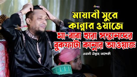 মায়াবী সুরে বিশ্বসেরা কান্নার ওয়াজ ওয়ালী উল্লাহ আশেকী Allama