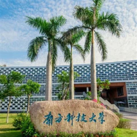 Kexin Zhang Southern University Of Science And Technology Shenzhen