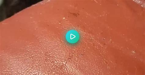 When Your Cat Loves Crisps ‍♂️ Album On Imgur