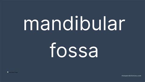Mandibular Fossa The Open Dictionary
