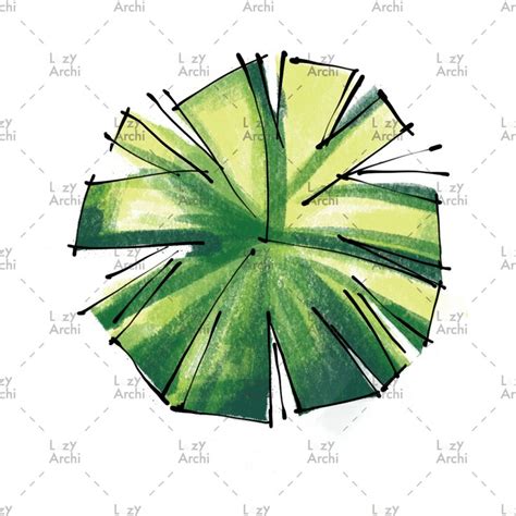 Water Color Tree Plan Symbol Watercolor Trees Tree Plan Watercolor