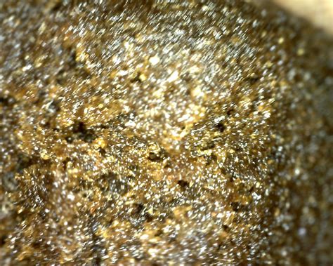 Exploring Some Hashish With The Microscope Rtrees