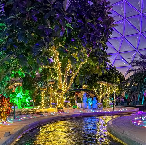 Watch Disney Takes Fans Behind The Scenes Of Living With The Lands