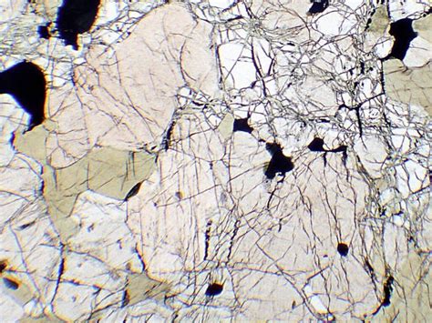 Opx In Ppl The Opx Is The Pink Hornblende The Green And Olivine Is