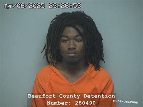 Lamontray Dashawn Brown 04 09 2025 Beaufort County Mugshots Zone
