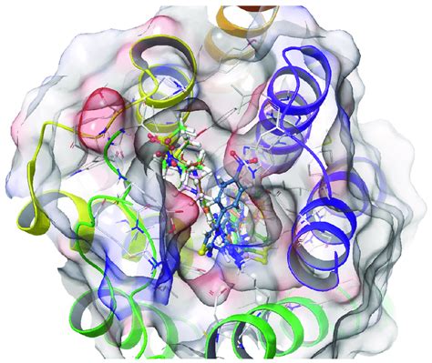 The Three Dimensional Interacting Mode Of Compound 3g In The Active