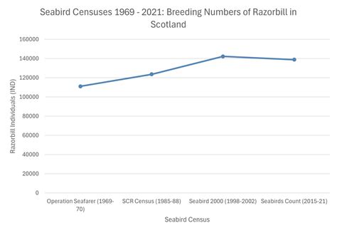 Razorbill Alca Torda