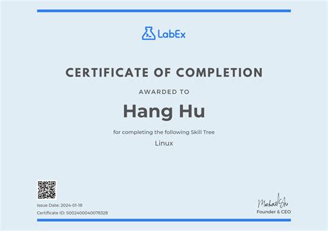 Pro Certificates Labex Support