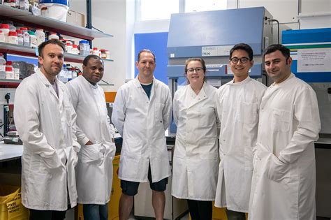 Team Morgan Lab School Of Life Sciences University Of Sussex