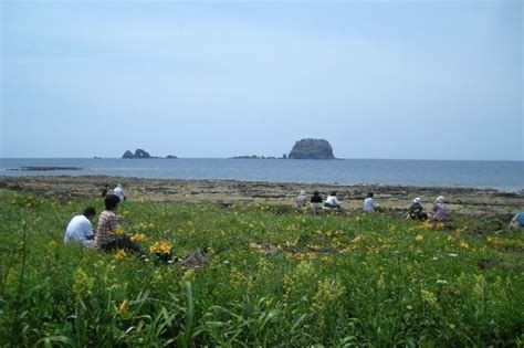 全島が絶好の釣り場「飛島」｜モデルコース｜酒田さんぽ 山形県酒田市の観光・旅行情報