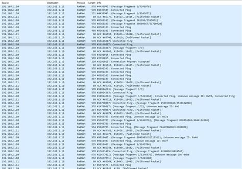 Raknet With Lot Of Malformed Packets Xp11 Technical Support Cubby