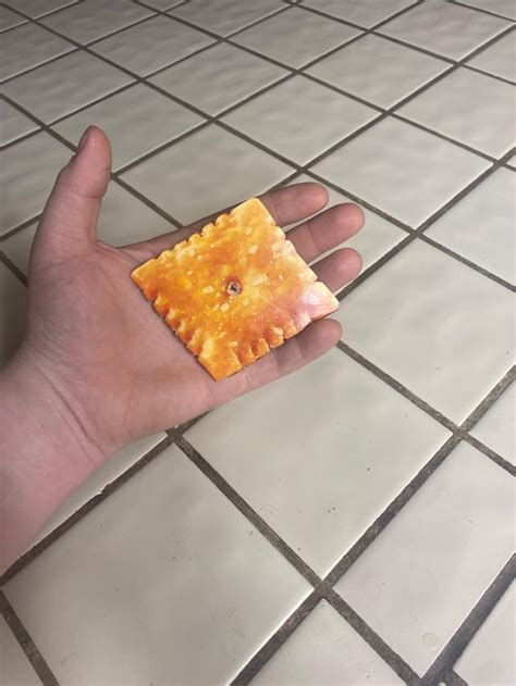 Why Have Many Cheez Itz When You Can Have A Rsamonellaacademy