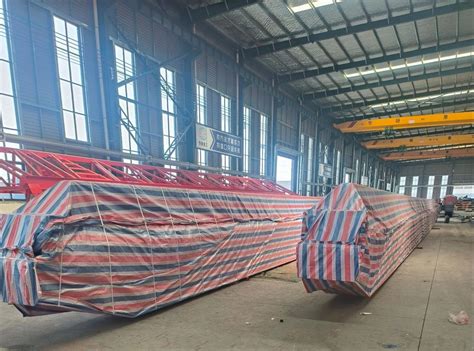 Custom Crane Solutions And Successful Projects Hscrane