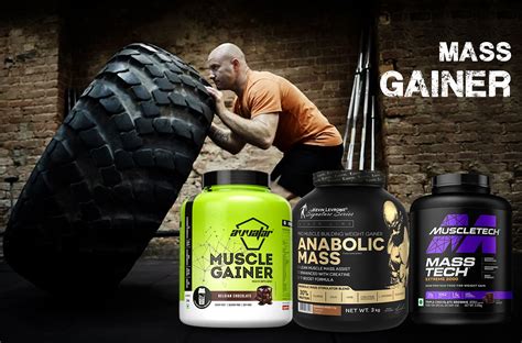 Best Mass Gainer In India